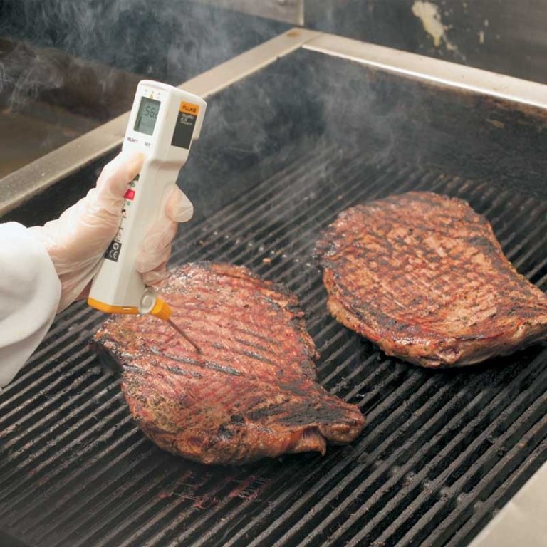 FoodPro and FoodPro Plus Food Safety Thermometers - Measurands